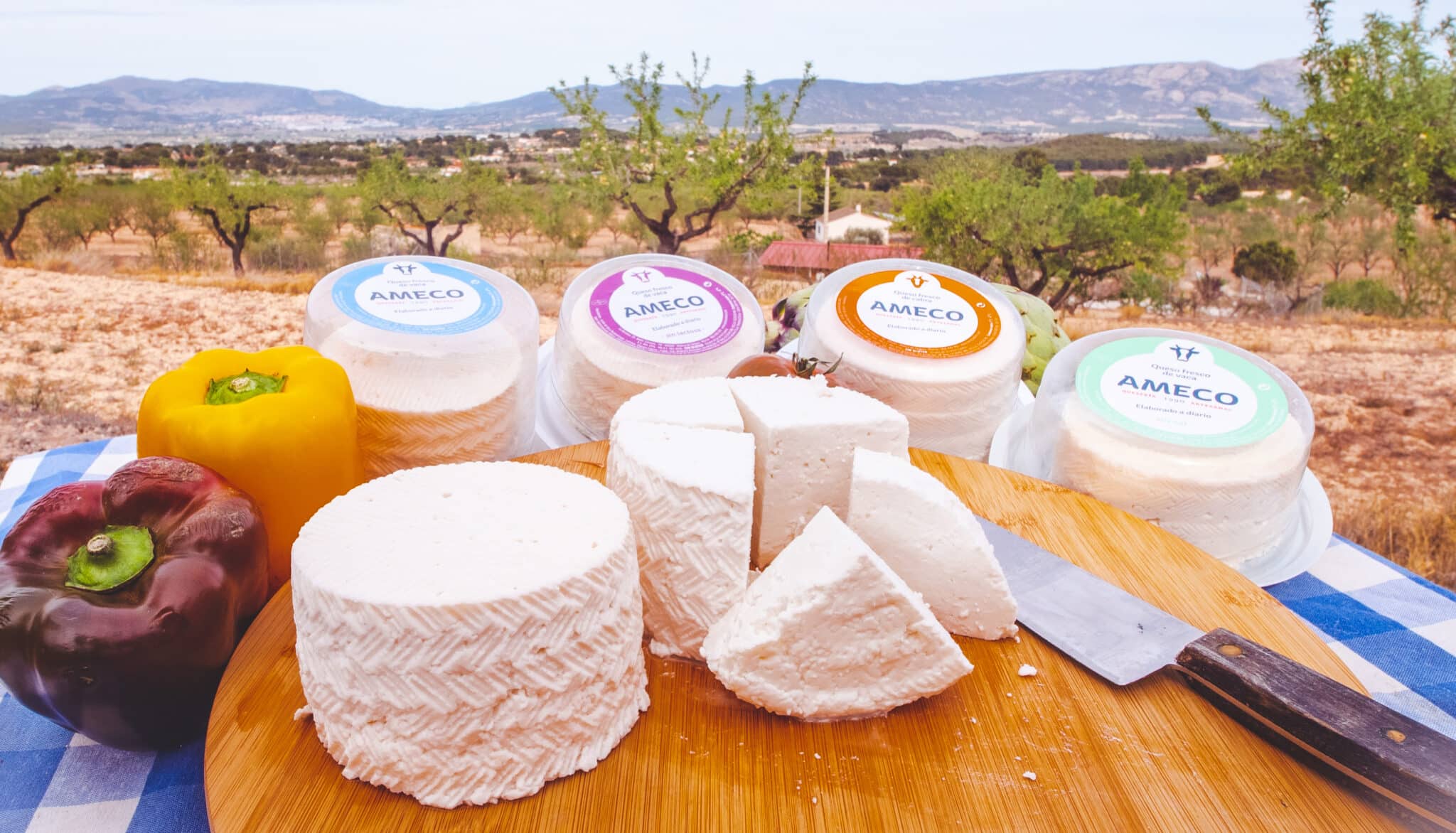 Queso fresco natural: el mejor lácteo.