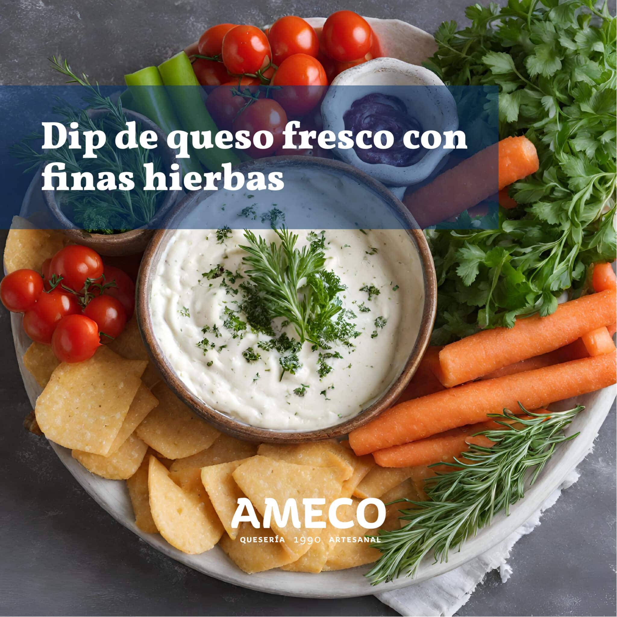Dip de queso fresco con finas hierbas-Quesería Artesanal AMECO